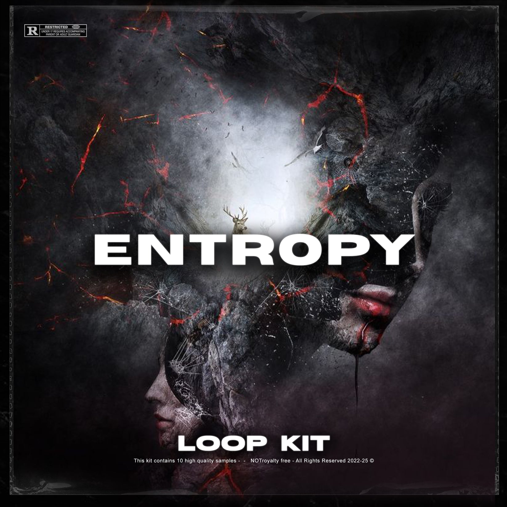 ENTROPY LOOP KIT – Spat