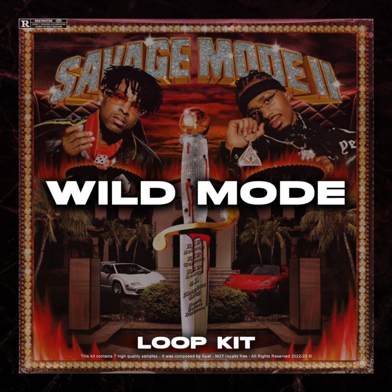 WILD MODE LOOP KIT – Spat